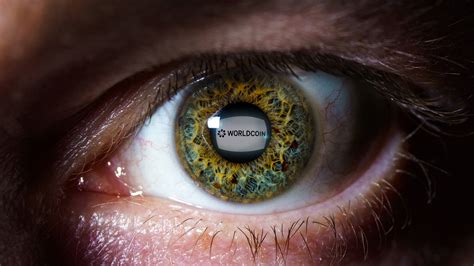 News Explorer — Token Sniffer Adds Api For Faster Scam Scans Decrypt