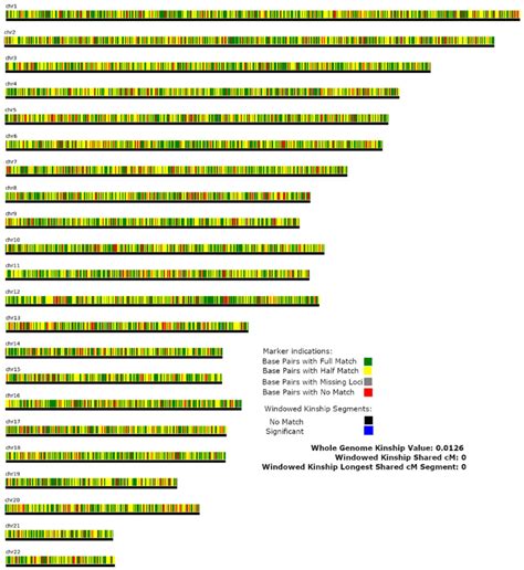 Fig S9 Visual Display Of Matching Snps Across Genome The Upper Panel Download Scientific