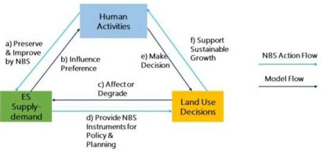 Conceptual Framework Of Understanding Ecosystem Services ES As A Download Scientific Diagram