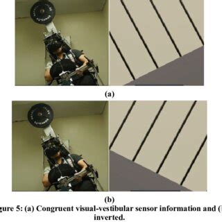 Comparison Between TCD Software And TCD Signal In Unity VR Scene Download Scientific Diagram