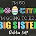 Easter Big Brother Pregnancy Announcement Pregnancy Announcement Easter Photoshoot Prop Egg