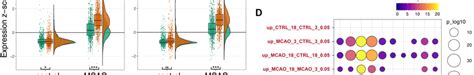 Cell Type Proportion Estimation By Transcriptome Deconvolution A