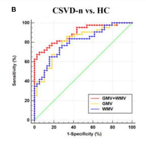 The Processing Pipeline Of Vbm Dartel Analysis Using Statistical