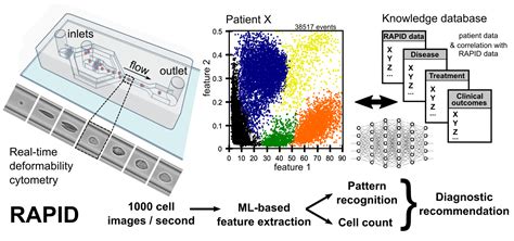Deformability Cytometry