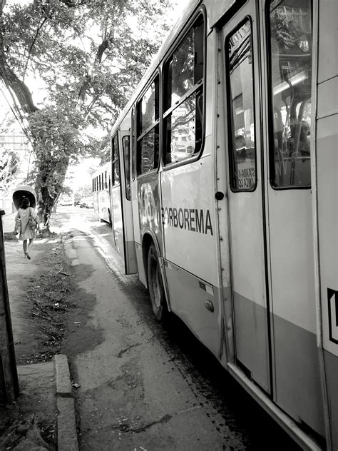 무료 이미지 검정색과 흰색 수송 단색화 대중 교통 버스 승객 육상 차량 흑백 사진 운송 수단 철도 차량 대도시 지역 빠른 운송 2448x3264