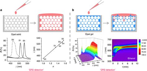Comparison Of Photonic Sensing Using Srs Or Drs Strategies A ‘static