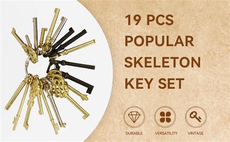 Universal Skeleton Keys Replacement 19pcs Most Popular Hollow Skeleton