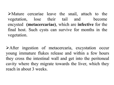 Introduction To Class Trematoda And Fasciola Hepatica Pdf