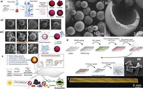 Current Challenges In Microcapsule Designs And Microencapsulation Processes A Review Acs