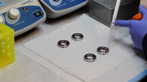 Video Construction Of Model Lipid Membranes Incorporating G Protein Coupled Receptors Gpcrs