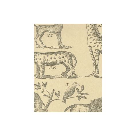 Ark Parchment Wallpaper Andrew Martin Museum Collection By Kravet