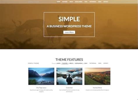 Best Responsive Wordpress Theme Options 58 Of Our Favorites