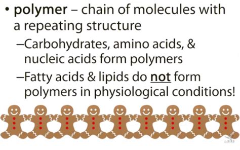 Chemical Digestion Macromolecules And Calories Flashcards Quizlet