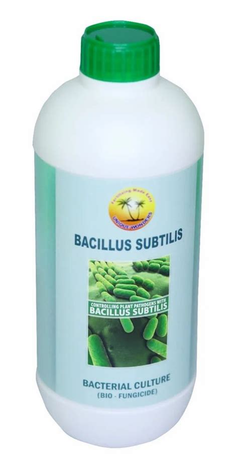 Bacillus Subtilis Bio Fungicide At Rs 350 Kg Hay Bacillus In Tiruvannamalai Id 2850307722633
