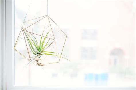 Introduction To Hello Flow Practice 2 Free Sample Extract Danielle Raine Creativity Coaching