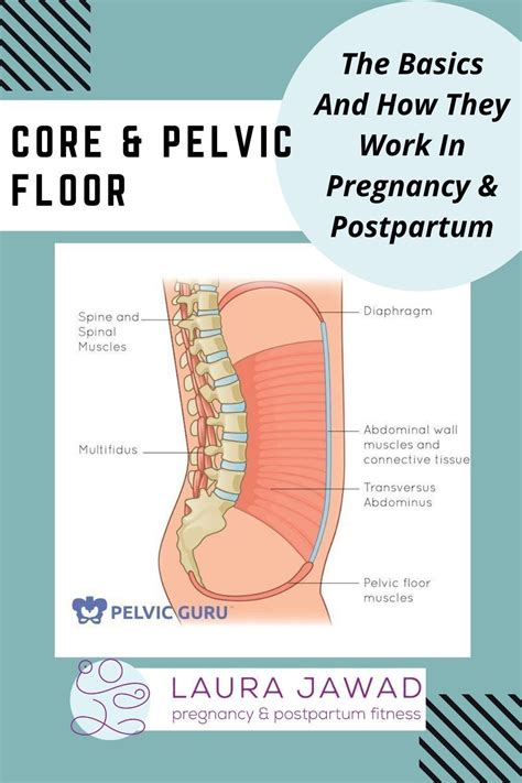 Your Marvelous Multi Tasking Pelvic Floor Core Artofit