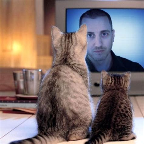 Stream Thomas Lieberman Music Listen To Songs Albums Playlists For