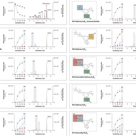 Ivermectin Metabolism Chemical Structure Of Ivermectin And Putative