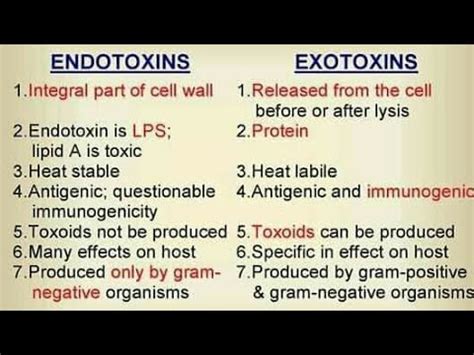 Endotoxin And Exotoxin YouTube