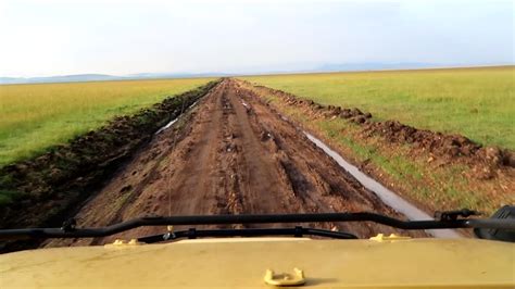 Premium Stock Video Pov Of Safari Drive Through Endless Grassy Plains