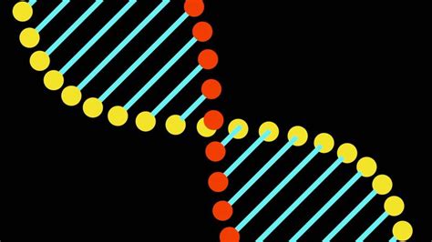 Simple Animation Of Moving Dna Design Beautiful Rotating Dna Structure Of Lines And Dots