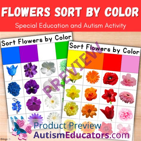Flowers Sort By Color Activity