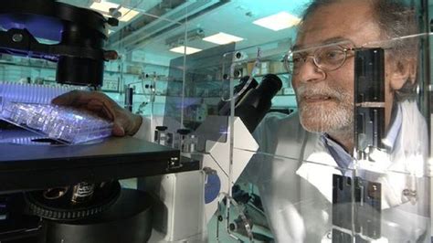 Aseguran Que En Dos Años Dos Personas Del Mismo Sexo Podrían Ser Padres