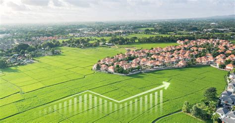 Ai Crop Yield Prediction Detailed Guide For Modern Agriculture