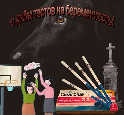 С днём тестов на беременность | Мемы, Смешные мемы, Смешные рожи