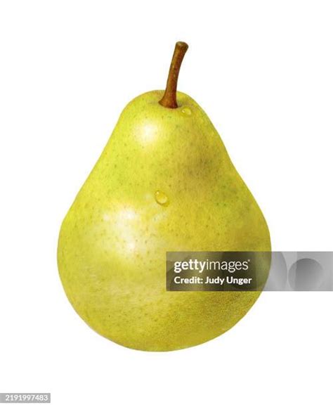 Pear Bartlett Yellow High Res Vector Graphic Getty Images