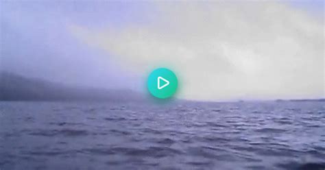 Murmuration  On Imgur