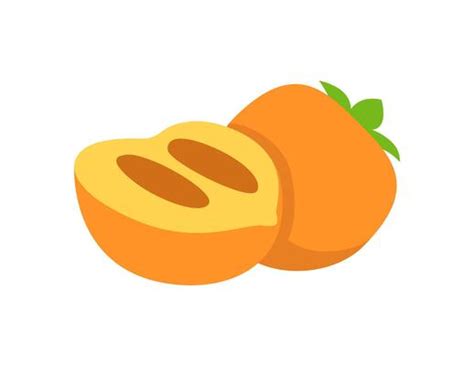 Page 3 Printable Fruit Coloring Vector Art Icons And Graphics For