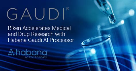 White Paper Riken Accelerates Medical And Drug Research With Habana