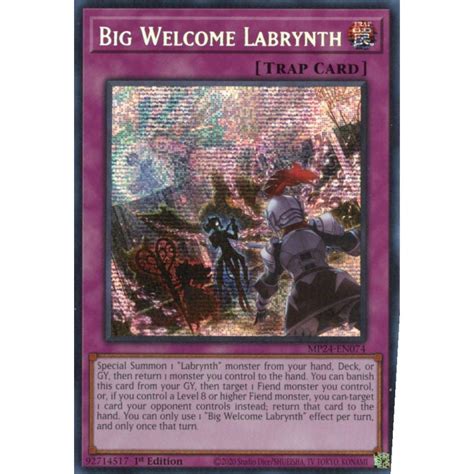 Dueling Mirrors Big Welcome Labrynth