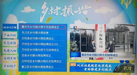 “全域重庆”重磅推出《乡村振兴》专题啦！武隆
