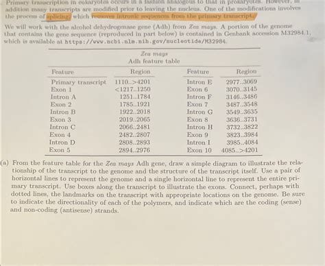 Solved Primary Transcription In Eukaryotes Occurs In A