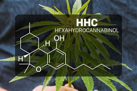 What Is Hhc Hexahydrocannabinol Uses Effects Legality