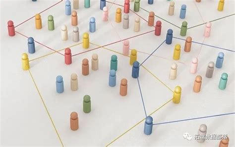 r语言社区检测算法可视化网络图：ggplot2绘制igraph对象分析物种相对丰度 csdn博客