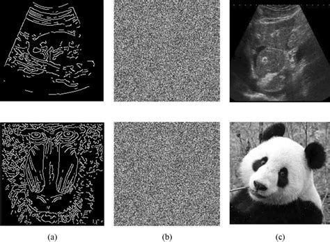 Dwt Em Encryption Output Of Us And Normal Images A The Edge Maps