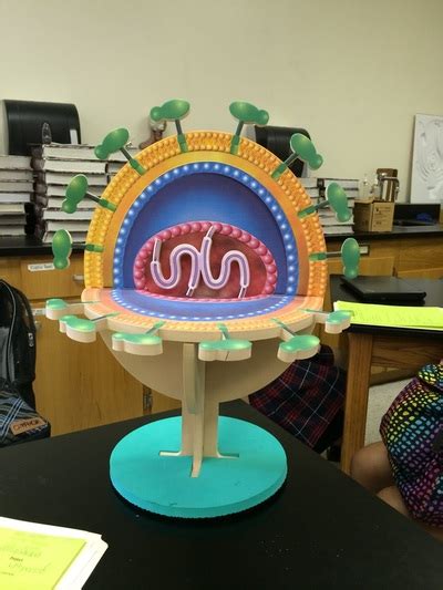 Photographs Steam Cell Structure And Function