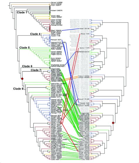 Co Evolution Of Type Iii And Reducing Polyketide Synthases Pkss Download Scientific