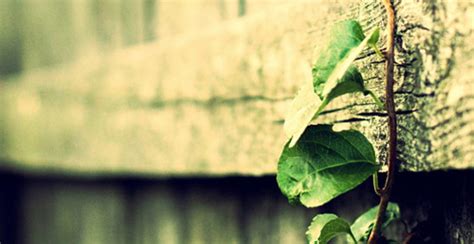 高晓波的个人博客