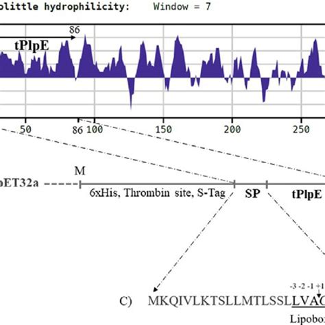 Hydrophilicity Plot Of Plpe And Gene Construction Of Sp Tplpe A