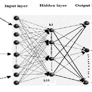 Back Propagation Topology Network Download Scientific Diagram