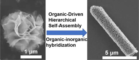 Hierarchical Self Assembly Of OrganicInorganic Hybrid Nanosheets To Construct Tubular