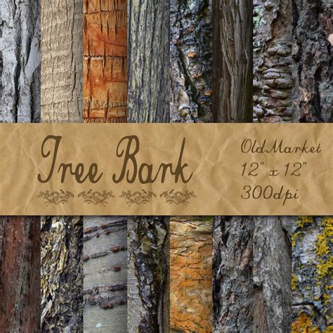 Tree Bark Digital Paper Wood Textures Wood Backgrounds Designs In X In