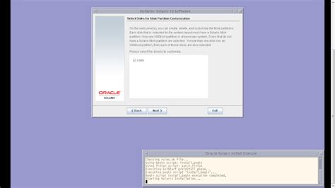 install oracle solaris 10 inside vmware® workstation 8 0 1 oracle