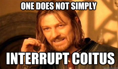 One Does Not Simply Interrupt Coitus Boromir Quickmeme