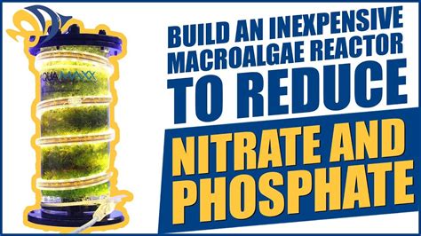 Build An Inexpensive Macroalgae Reactor To Reduce Nitrate And Phosphate Youtube