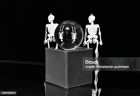 반사 테이블에 검은 배경에 인간의 해골과 두개골의 모형 검은색에 대한 스톡 사진 및 기타 이미지 검은색 공휴일 두개골 Istock